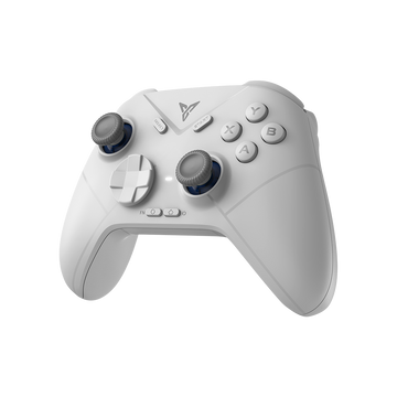 Software Downloads – Flydigi